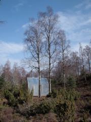The Inshriach Bothy, an artist studio in the Scottish Highlands | Small ...