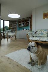 Hivehaus, a modular dwelling with a honeycomb plan | Small House Bliss