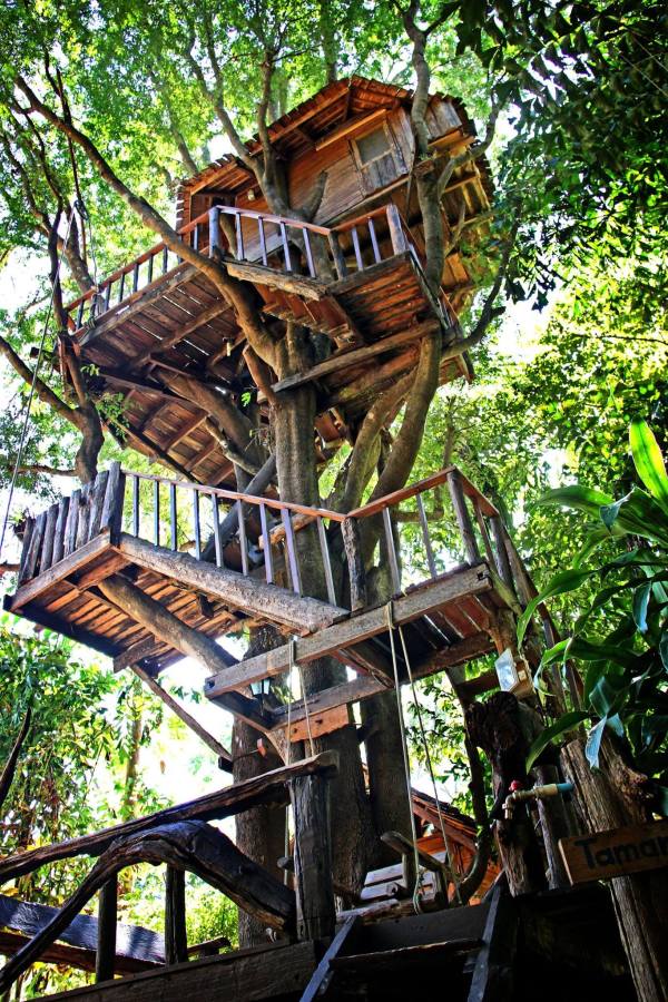 Rabeang Pasak Chiangmai Treehouse Resort | Small House Bliss