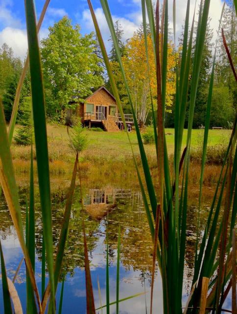 The Pond Cottage, an idyllic retreat surrounded by nature | Small House ...